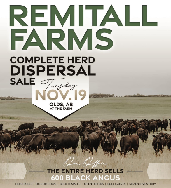 Remitall Farms Dispersal, November 19, 2024 | Richard and Kelly Latimer ...